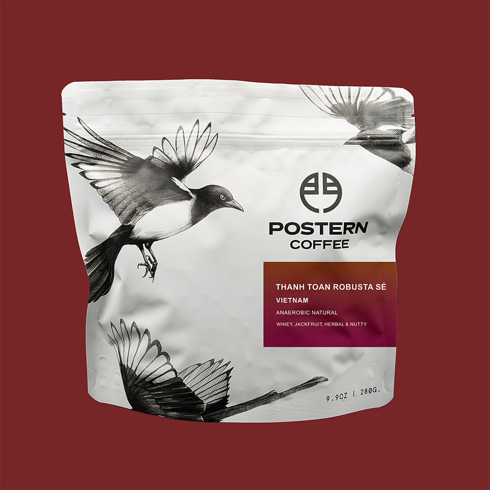 Thanh Toan Vietnam Robusta Sẻ Anaerobic Natural – Postern Coffee